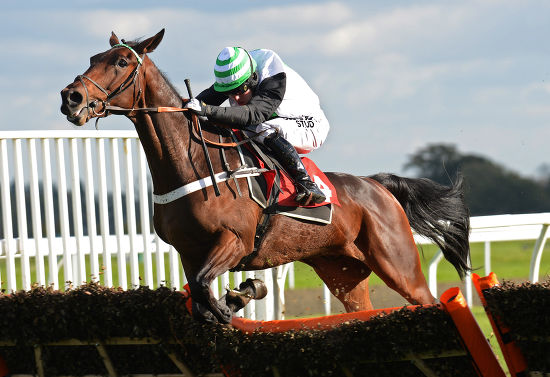 Golden Hoof Andrew Tinkler Takes Last Editorial Stock Photo - Stock ...