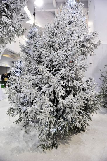 Christmas Tree Exhibition Editorial Stock Photo - Stock Image ...