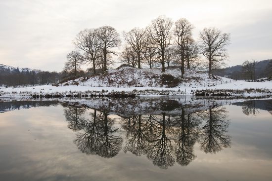Trees Reflected River Brathay Near Elterwater Editorial Stock Photo ...