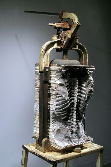 Human Rib Cage Carved Out Stack Editorial Stock Photo - Stock Image ...