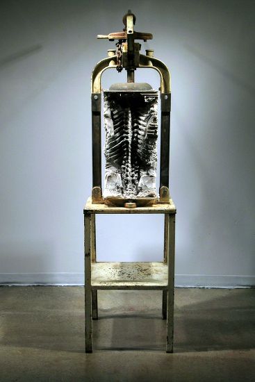 Human Rib Cage Carved Out Stack Editorial Stock Photo - Stock Image ...