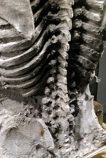 Human Rib Cage Carved Out Stack Editorial Stock Photo - Stock Image ...