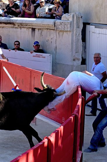 Course Camarguaise Roman Bullring Nimes Raseteur Editorial Stock Photo ...