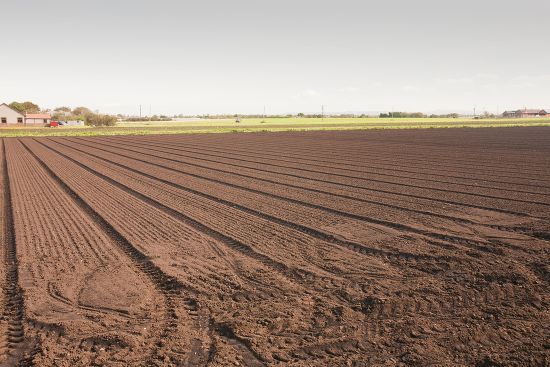 Soil On Farm On Lancashire Mosslands Editorial Stock Photo - Stock ...
