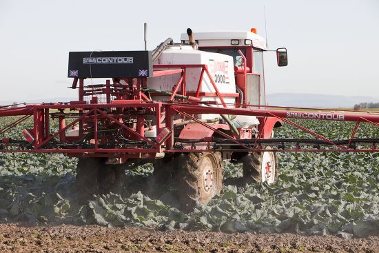 Farmer Spraying His Cabbages Pesticide Banks Editorial Stock Photo ...