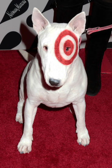 Bullseye Target Mascot Dog Editorial Stock Photo - Stock Image ...