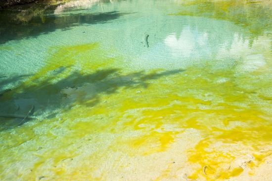 Ink Pots Limestone Spring Water Pools Editorial Stock Photo - Stock ...