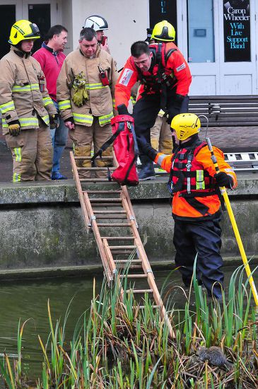 Firefighters Scene Rescue Squirrel Sitting On Editorial Stock Photo ...