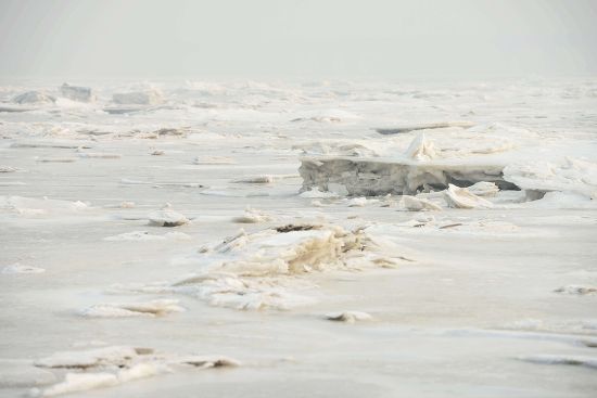 Water Frozen Over Which Nearly 1 Editorial Stock Photo - Stock Image ...