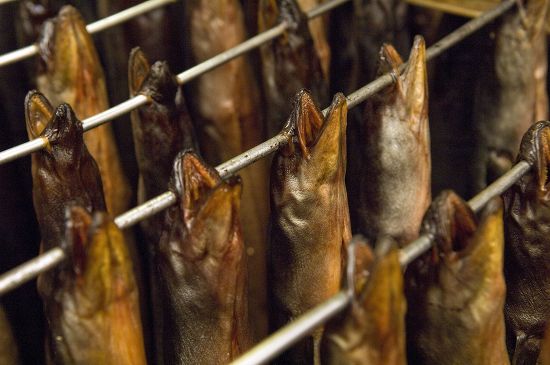 Eels Being Smoked Severn Wye Smokery Editorial Stock Photo - Stock ...