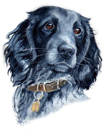 Portrait Painted By Artist Christopher Winch Editorial Stock Photo ...