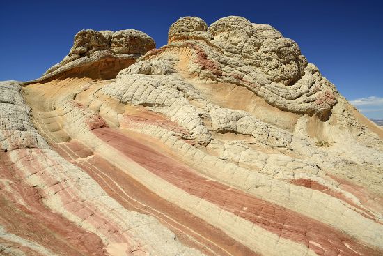 Brain Rocks White Pocket Eroded Navajo Editorial Stock Photo - Stock ...