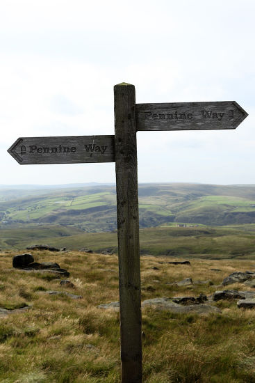 Signs Marking Pennine Way On Pennine Editorial Stock Photo - Stock ...