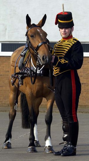 Gunner Steven Flint Kings Troop Royal Editorial Stock Photo - Stock ...