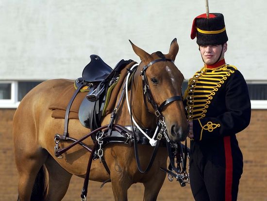 Gunner Steven Flint Kings Troop Royal Editorial Stock Photo - Stock ...