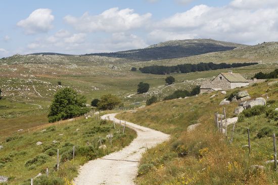 Landscape Mont Lozere Mas Camargues Causses Editorial Stock Photo ...