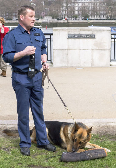 Andy Jones Dog Support Unit Elvis Editorial Stock Photo - Stock Image ...
