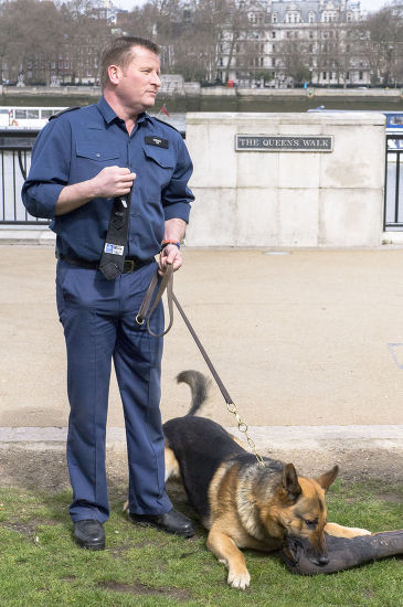 Andy Jones Dog Support Unit Elvis Editorial Stock Photo - Stock Image ...