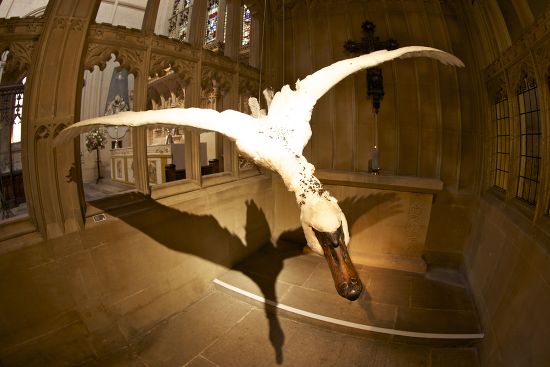 Tessa Farmer Voyager Birde Chantry Editorial Stock Photo - Stock Image ...