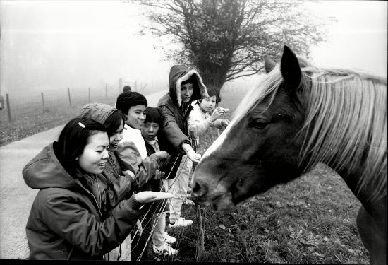Vietnam Refugees Britain Vietnamese Refugee Orphan Editorial Stock ...