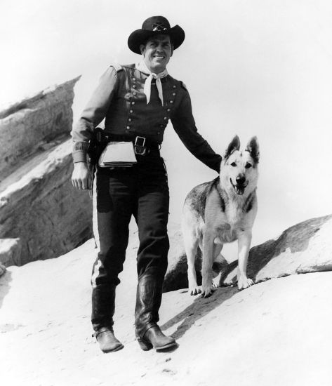 Adventures Rin Tin Tin Tv 1954 Editorial Stock Photo - Stock Image ...