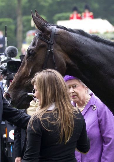 Queen Elizabeth Ii Winning Enclosure After Editorial Stock Photo ...