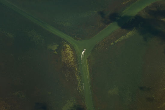 Fork Channel Schaprode Hiddensee Ferry Hiddensee Editorial Stock Photo ...