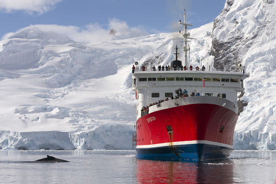 Humpback Whale Expedition Cruise Ship Ms Editorial Stock Photo - Stock ...