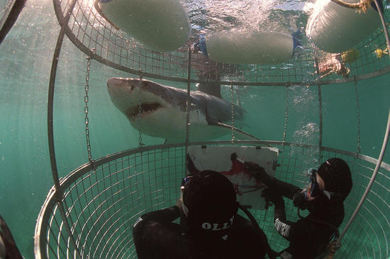 Olly Williams Suzi Winstanley Editorial Stock Photo - Stock Image ...