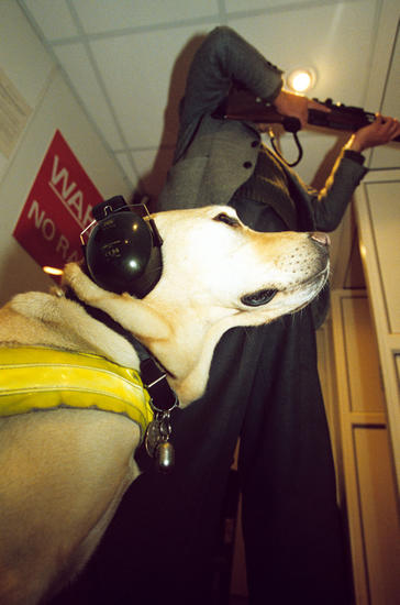 Blind Man Shooting Editorial Stock Photo - Stock Image | Shutterstock