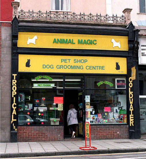 Animal Magic Grooming Parlour Bristol Editorial Stock Photo - Stock ...