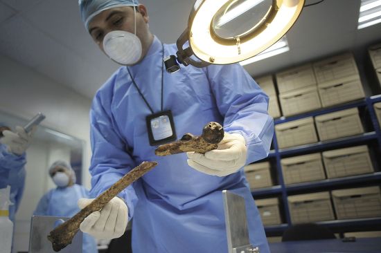Forensic Expert Diomedes Trejo Examines Femur Editorial Stock Photo ...