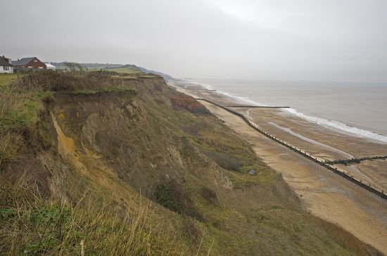 Undercliff Coastal Landslip Habitat Norfolk England Editorial Stock ...