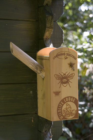 Bumble Bee Nesting Box On Garden Editorial Stock Photo - Stock Image ...