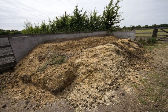 Muck Heap Editorial Stock Photo - Stock Image | Shutterstock