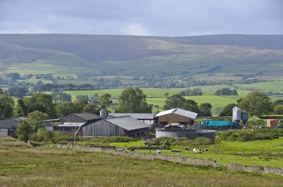 Dairy Farm Surrounding Farmland Near Slaidburn Editorial Stock Photo ...