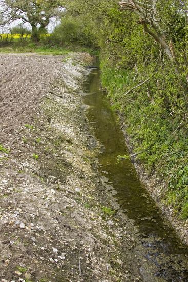 Recently Cleared Drainage Ditch Allow Cultivation Editorial Stock Photo ...