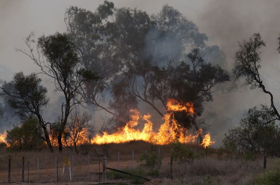 Flames Burning Bush Fire Near Charters Editorial Stock Photo - Stock ...