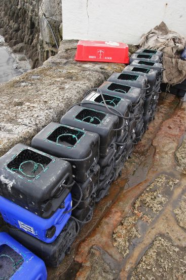 Whelk Pots On Quayside Lyme Regis Editorial Stock Photo - Stock Image ...