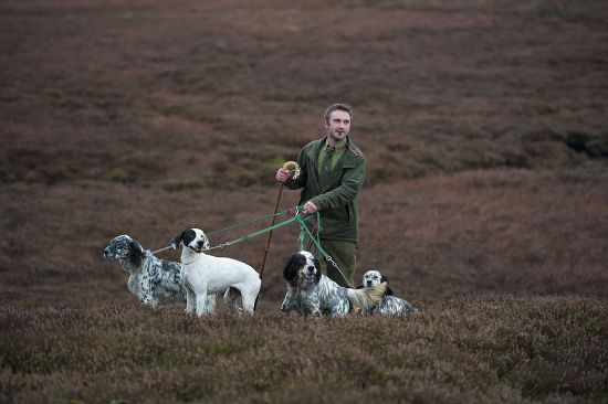 Man Standing English Pointer English Setters Editorial Stock Photo ...