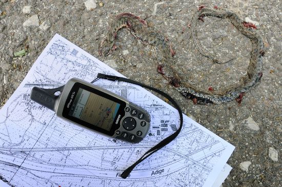 Gps Mapping Dice Snake Natrix Tessellata Editorial Stock Photo - Stock ...