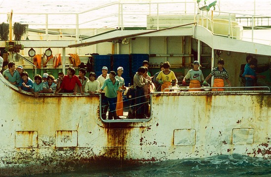 Illegal Tuna Fishing Editorial Stock Photo - Stock Image | Shutterstock