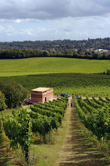 James Mays Lego House Denbies Vineyard Editorial Stock Photo - Stock ...