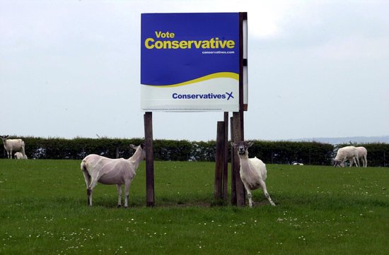 Sign Promoting George Young Conservative Mp Editorial Stock Photo ...