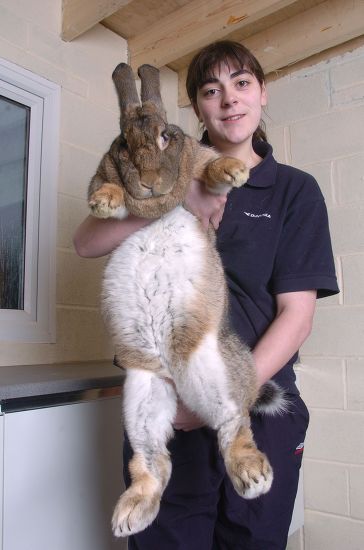 Sarah Dooley 17 Daughter Sue Dooley Editorial Stock Photo - Stock Image ...