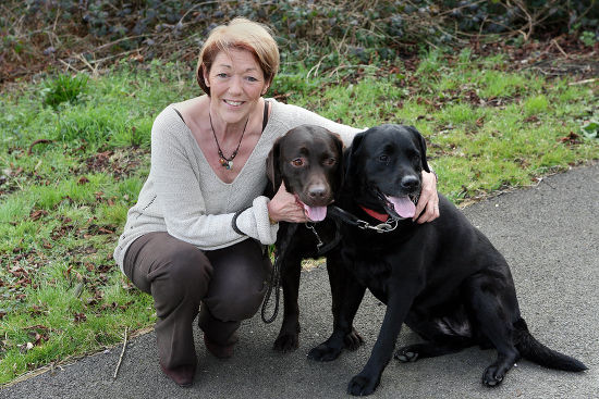 Mary Falconer Photographed Near Her Drake Editorial Stock Photo - Stock ...