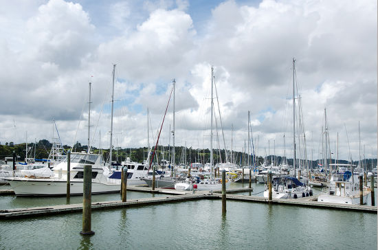 Opua Marina New Zealand Editorial Stock Photo - Stock Image | Shutterstock