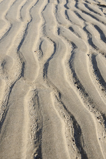 Sand Grooves Caused By River Elbe Editorial Stock Photo - Stock Image ...