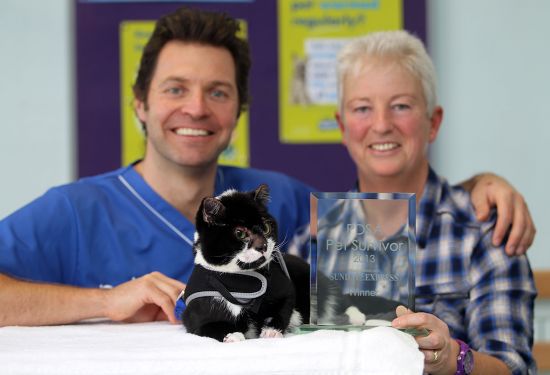 Robbie Cat His Award New Owner Editorial Stock Photo - Stock Image ...