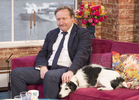 Neil Dudgeon Sykes Editorial Stock Photo - Stock Image | Shutterstock